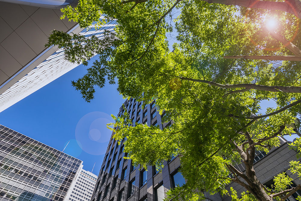 Global Locations | NTT DATA